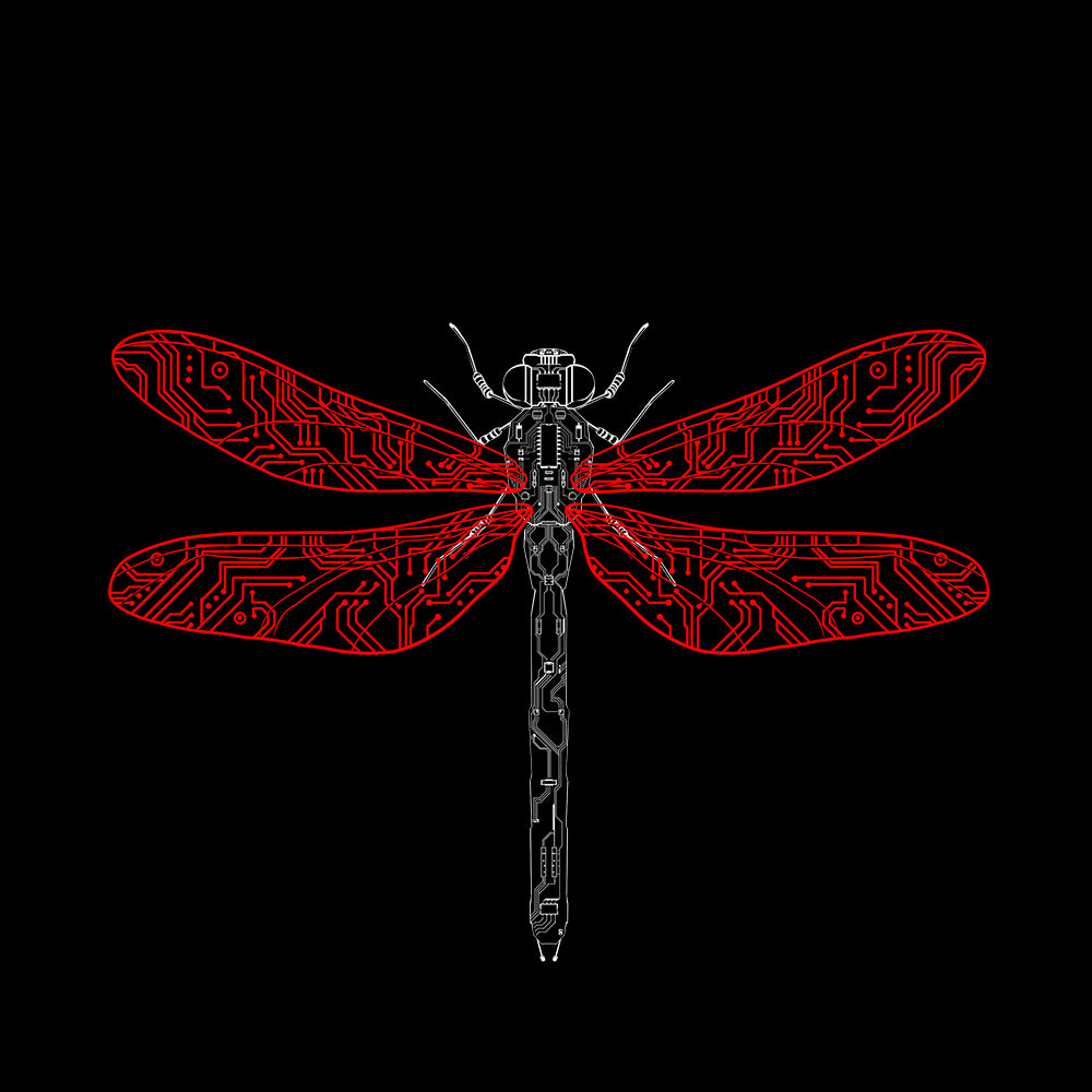 Dragonfly Clothing For Men